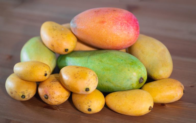 Exploring the Different Varieties of Mangoes Exported to Australia and ...