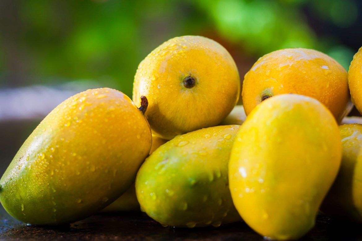 Exploring the Different Varieties of Mangoes Exported to Australia and ...