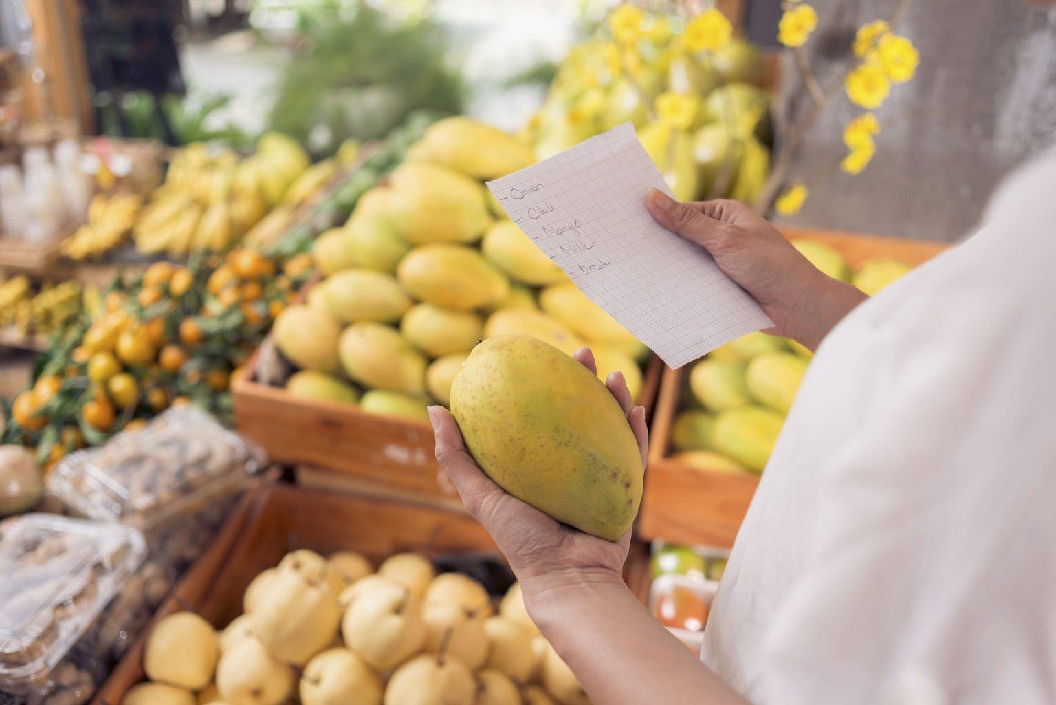 Sustainability in Mango Exports to Australia: Balancing Economic Growth ...
