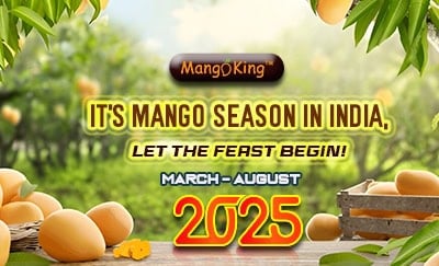 Mangoes Fruit Exporters and Suppliers from India to Australia..