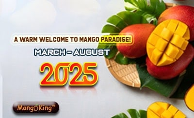Mangoes Fruit Exporters and Suppliers from India to Australia..